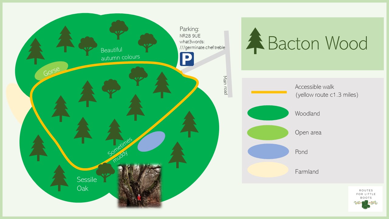 Bacton Wood - Routes for Little Boots