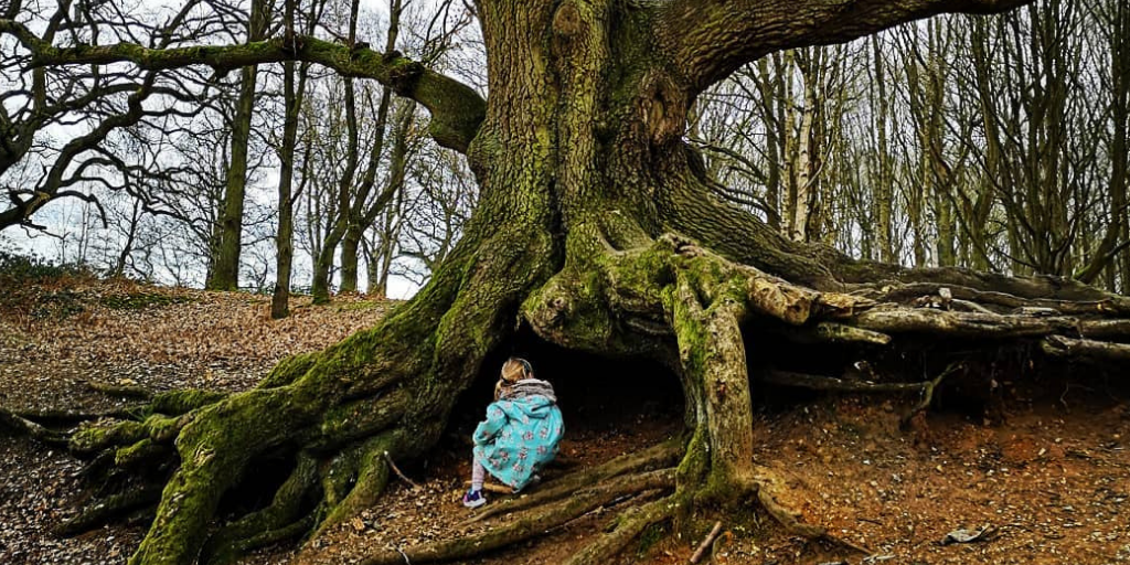 Bawdeswell Heath - Routes for Little Boots